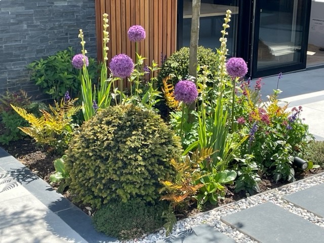 Planting Designs & Schemes For Borders - Garden Design Services